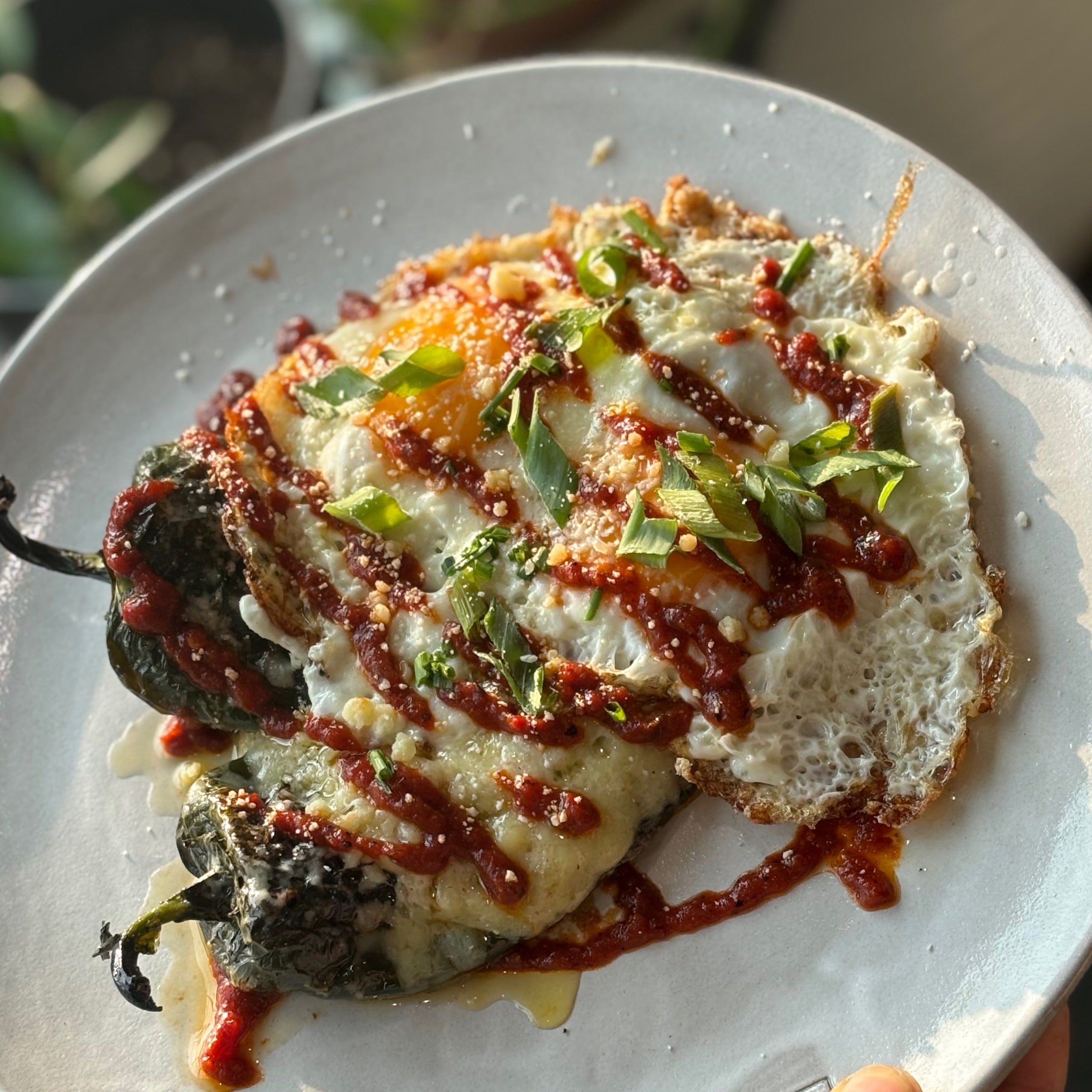 BREAKFAST CHILE RELLENO | Harvest on 25th